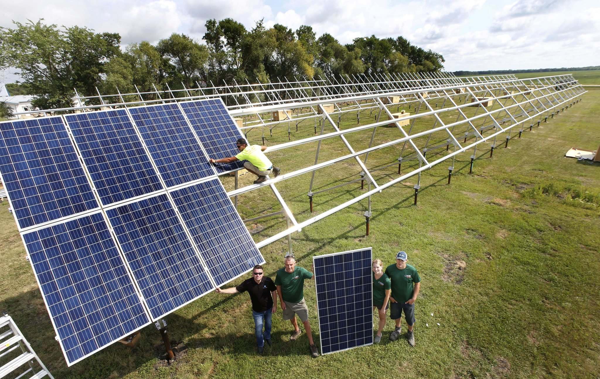 National Farmers Federation Welcomes National Net Zero Authority ...