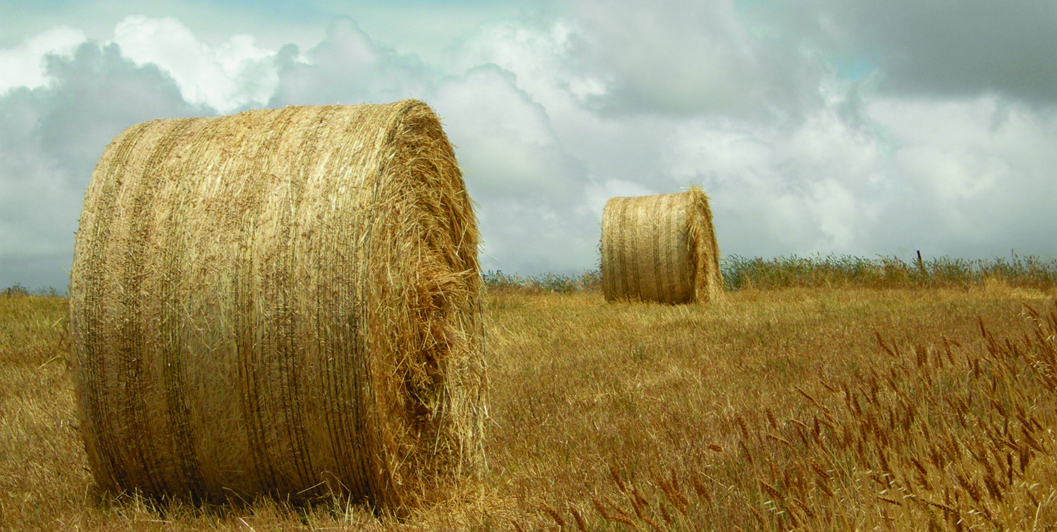 2035 Target Welcomed With Warning | Mirage News