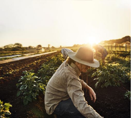 Farmers make their case to the competition watchdog - National Farmers ...