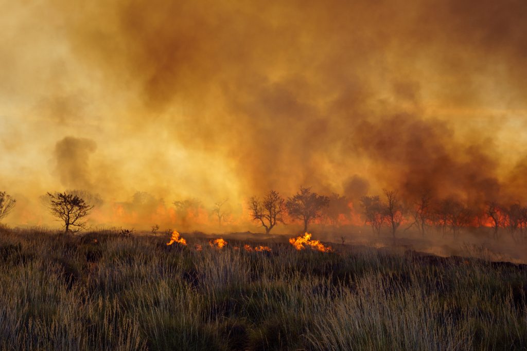 NFF statement on bushfires, flooding and cyclone disasters - National ...