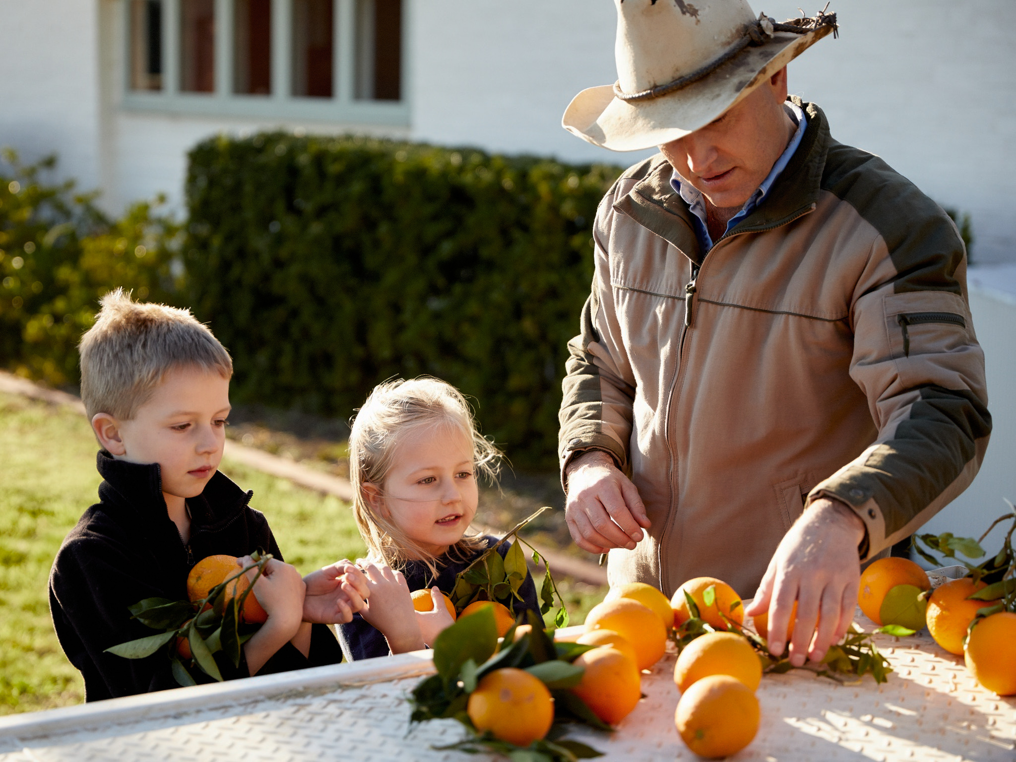 Get Australia Growing - National Farmers' Federation