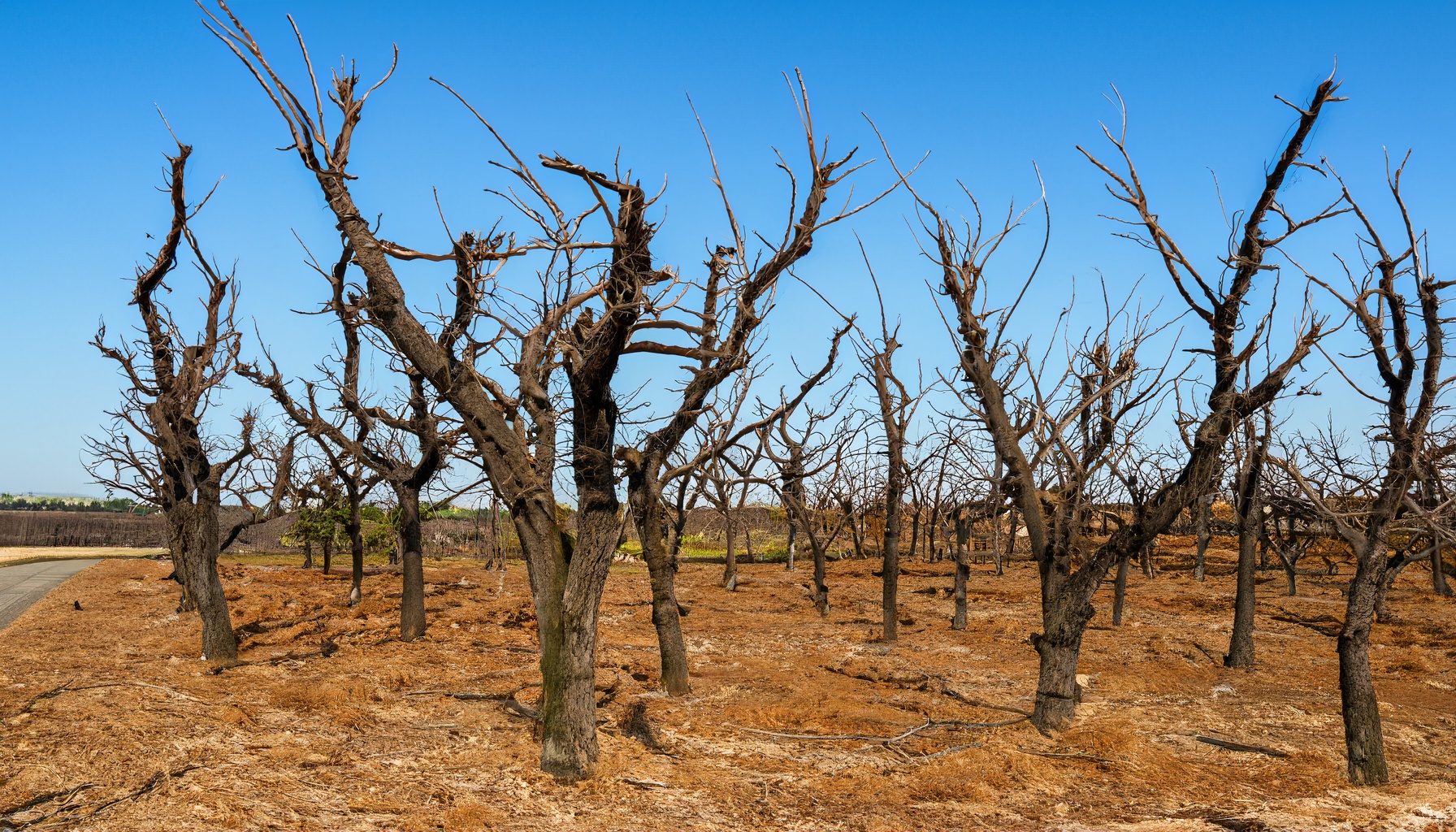 Farmers call out misinformation on Basin Bill | Mirage News