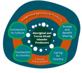 Indigenous Agricultural Product Framework Project - National Farmers ...