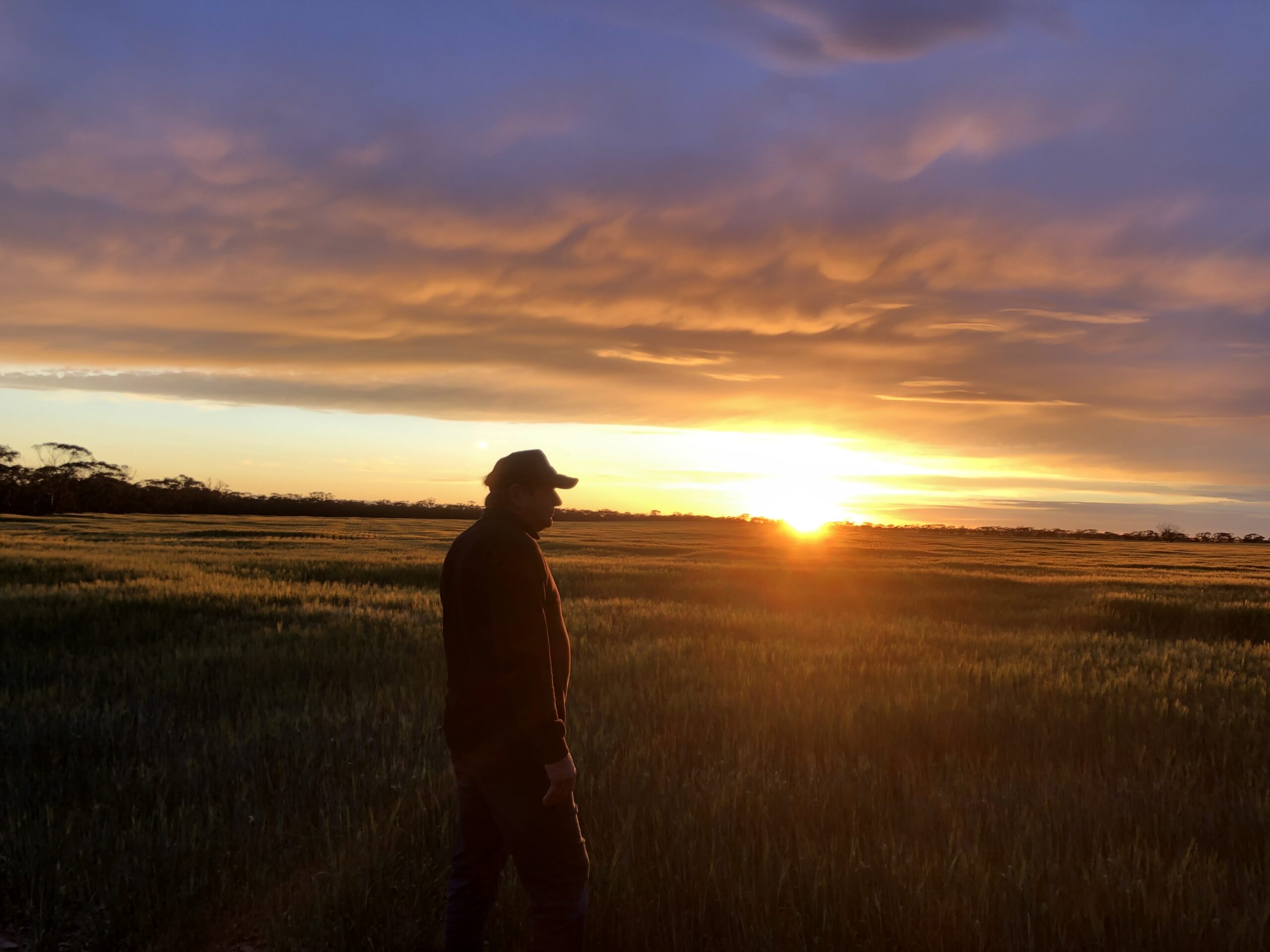 ABARES modelling shows carbon choices for farmers - National Farmers' Federation